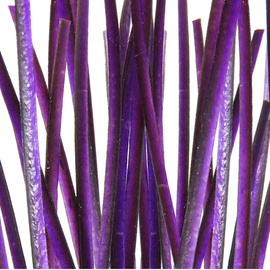 Quill & Fly Stripped Quill Purple | Fly Tying Materials \ Feathers ...