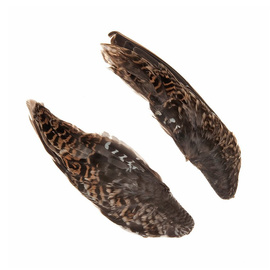 Snipe Wings | Fly Tying Materials \ Feathers \ Wings