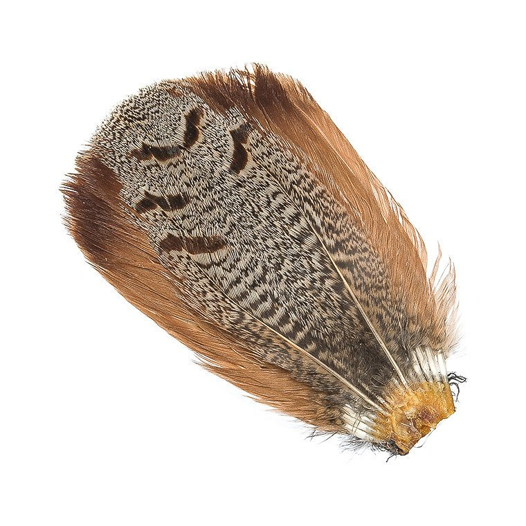 BG Partridge Tail | Fly Tying Materials \ Feathers \ Tails