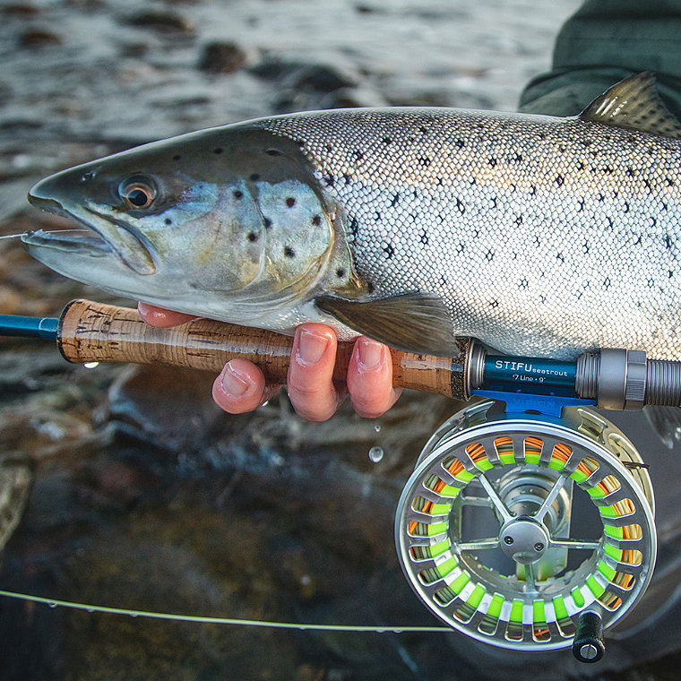 Vision Fly Rod Stifu Seatrout Vision Stifu Seatrout Fly Rod | Fly Rods